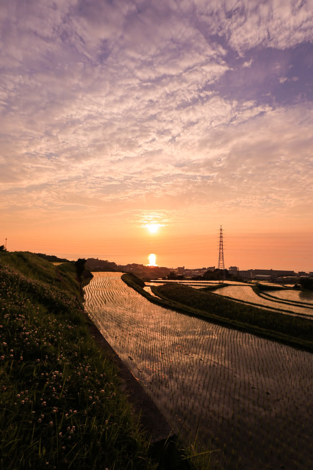 沈みゆく夕日と棚田の無料の写真素材 Id 74305|フリー素材 ぱくたそ